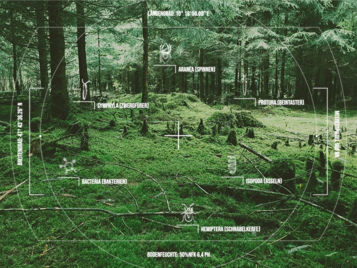 intelligent landscapes | Public Art Lab
